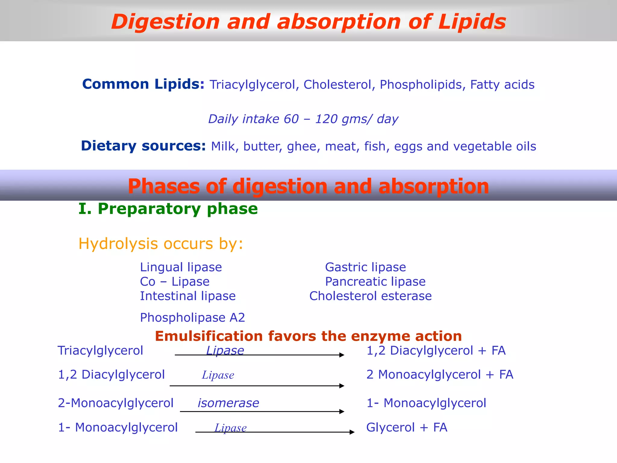 Digestion2.ppt
