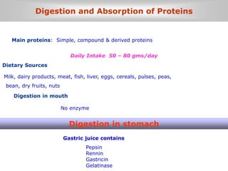 Digestion2.ppt