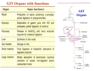 Digestion2.ppt