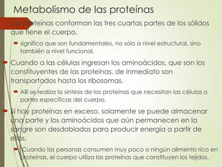 digestion absorcion y metabolismo nutricion y dieta - gaby.ppt