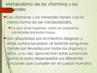 digestion absorcion y metabolismo nutricion y dieta - gaby.ppt