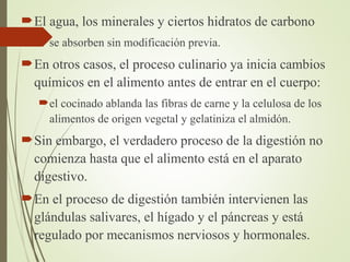 digestion absorcion y metabolismo nutricion y dieta - gaby.ppt