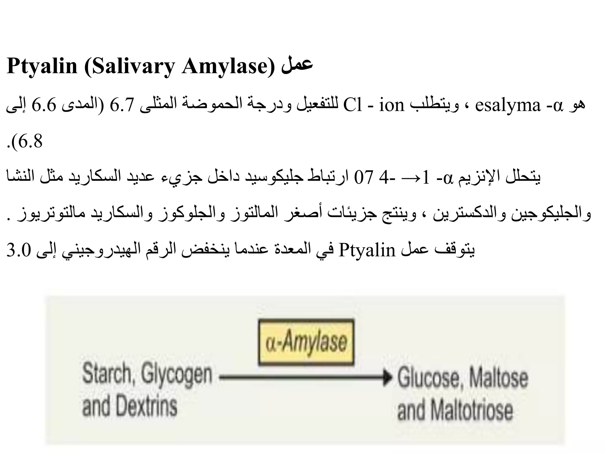 DIGESTION &ABSORPOSTION OFCARBOHYDRATES.pptx