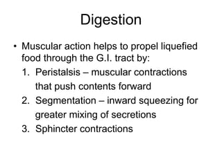 digestion & absorption of vitamins and mineral's | PPT