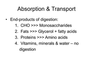 digestion & absorption of vitamins and mineral's | PPT