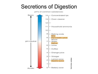 digestion & absorption of vitamins and mineral's | PPT