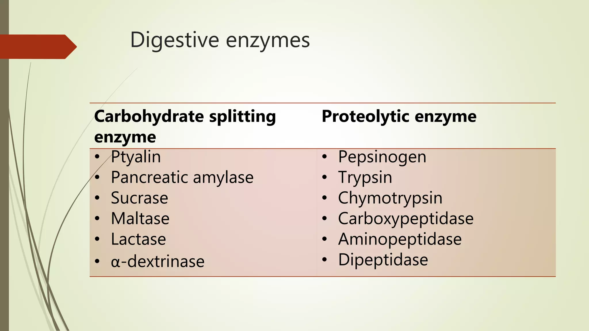 Digestion and absorption | PPTX
