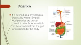Digestion and absorption | PPTX