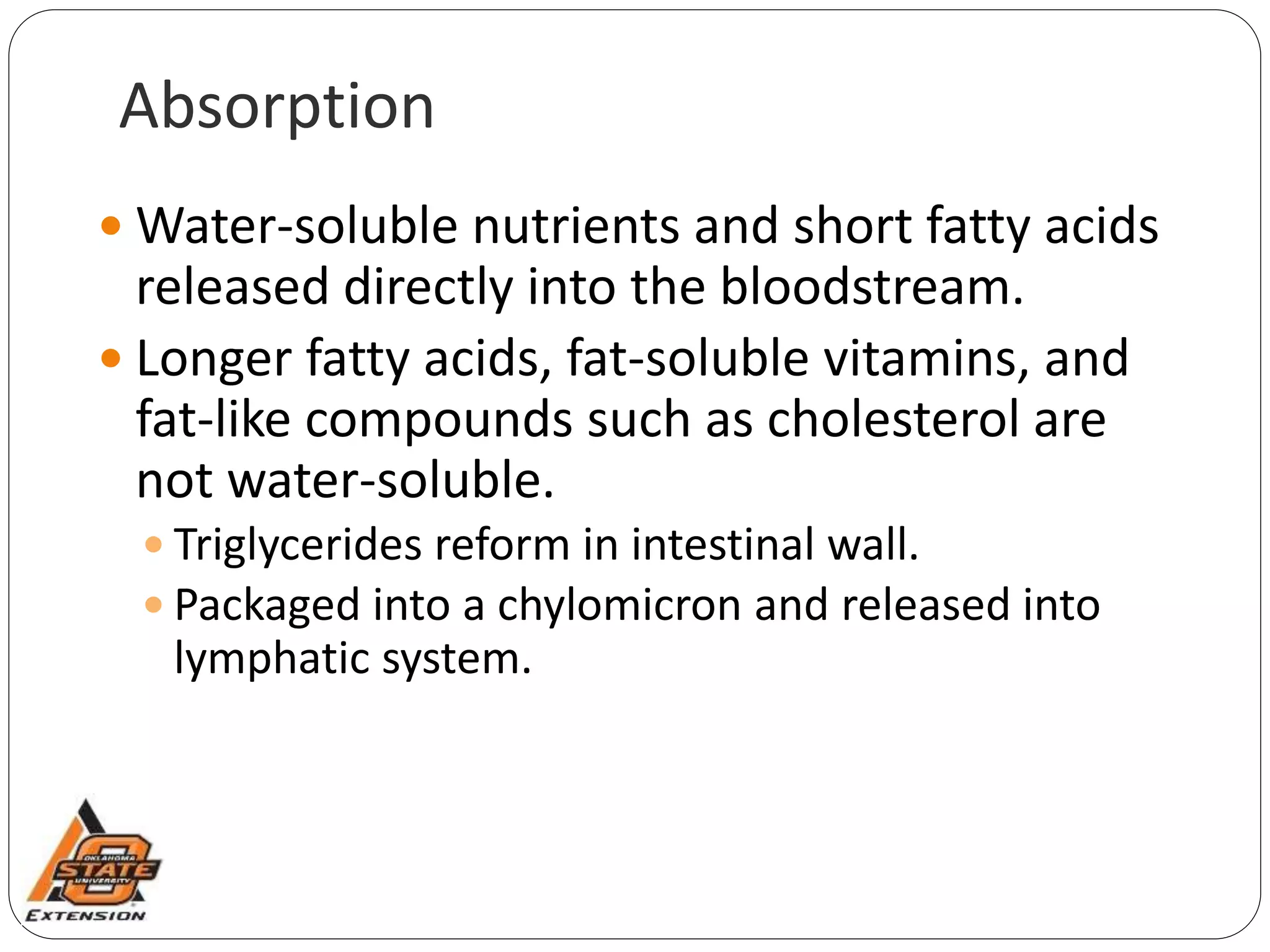 Digestion, absorption and metabolism | PPT