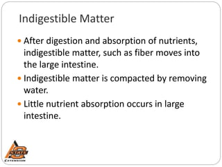 Digestion, absorption and metabolism | PPT