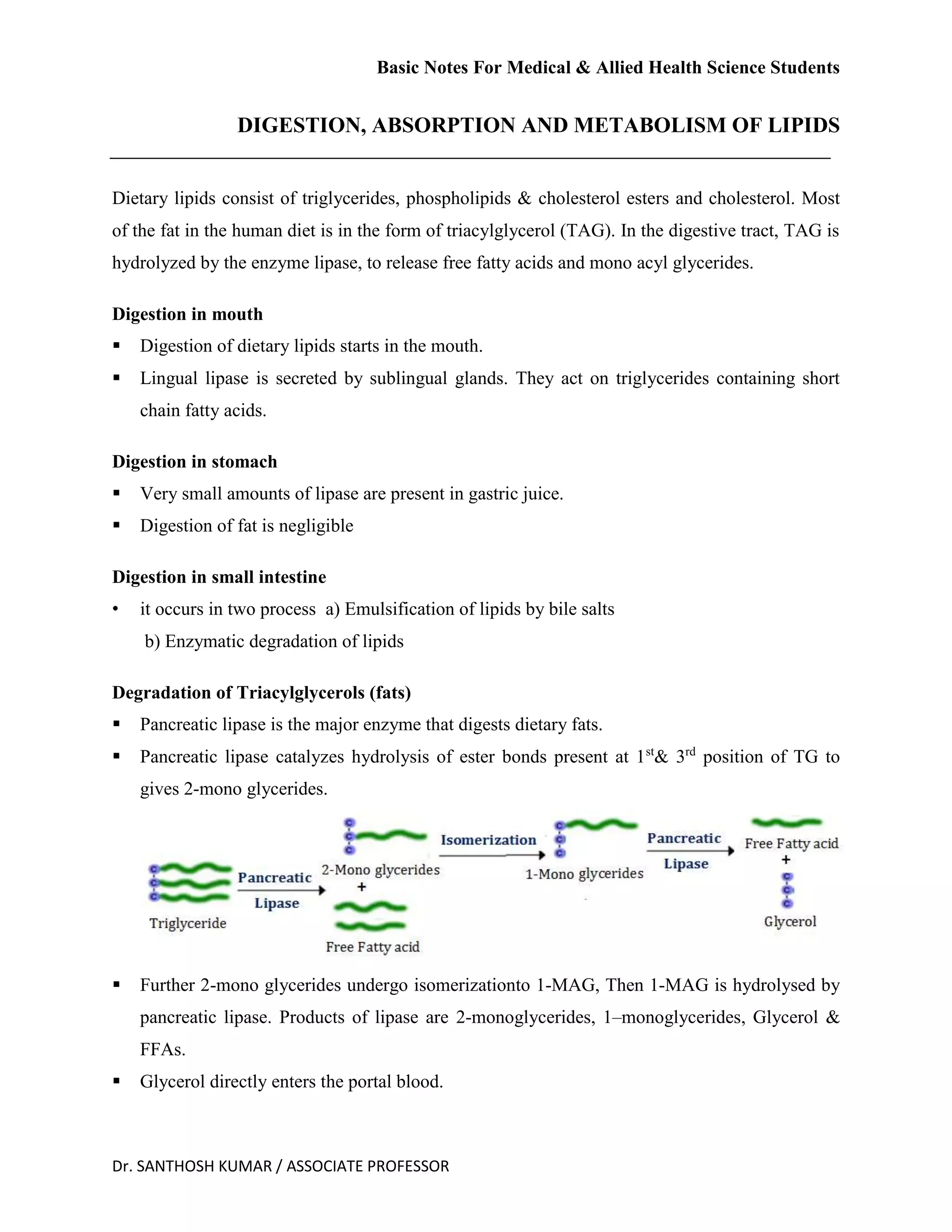 DIGESTION, ABSORPTION AND METABOLISM OF LIPIDS.docx