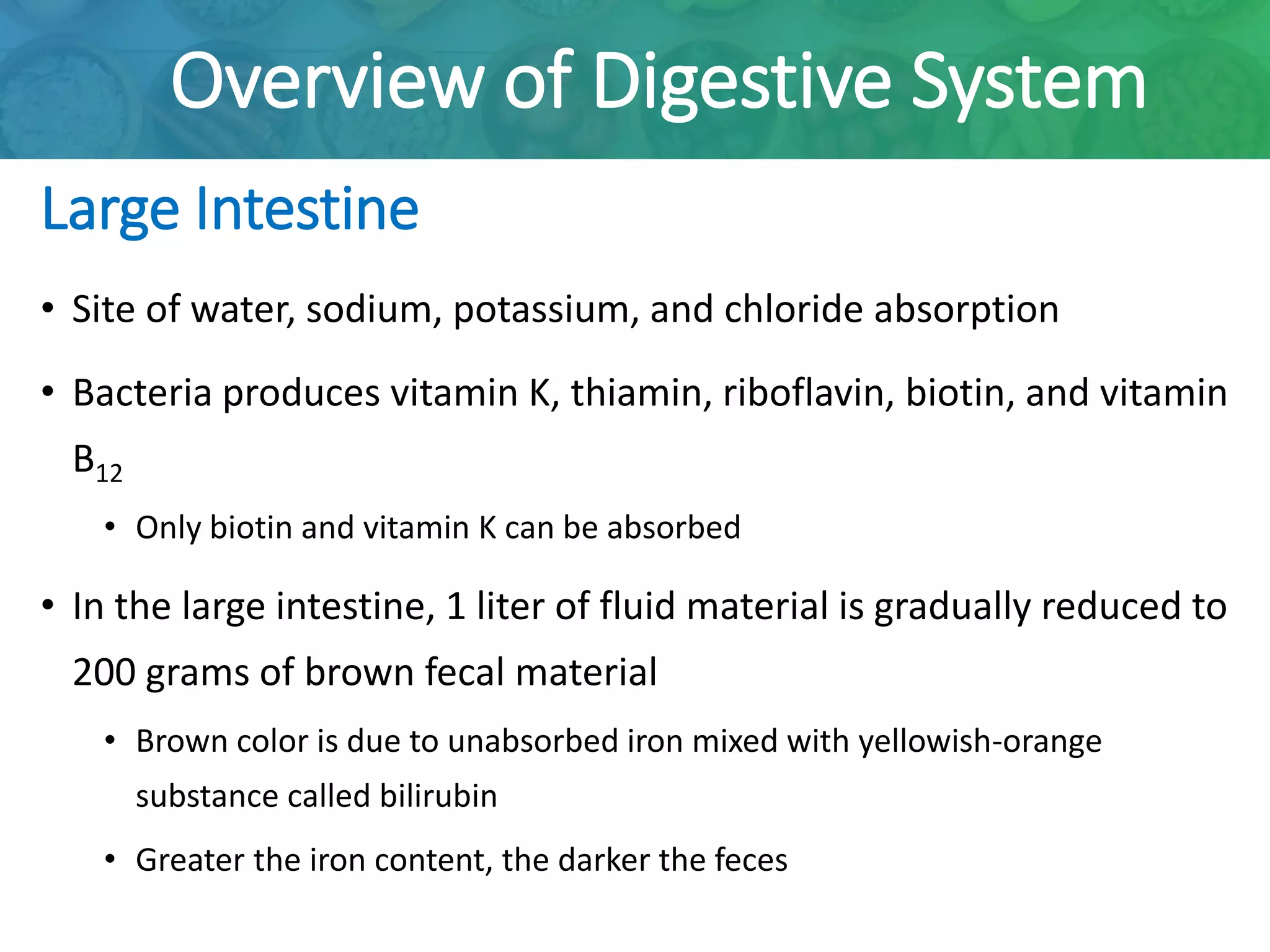 Digestion, absorption and transport of food | PDF
