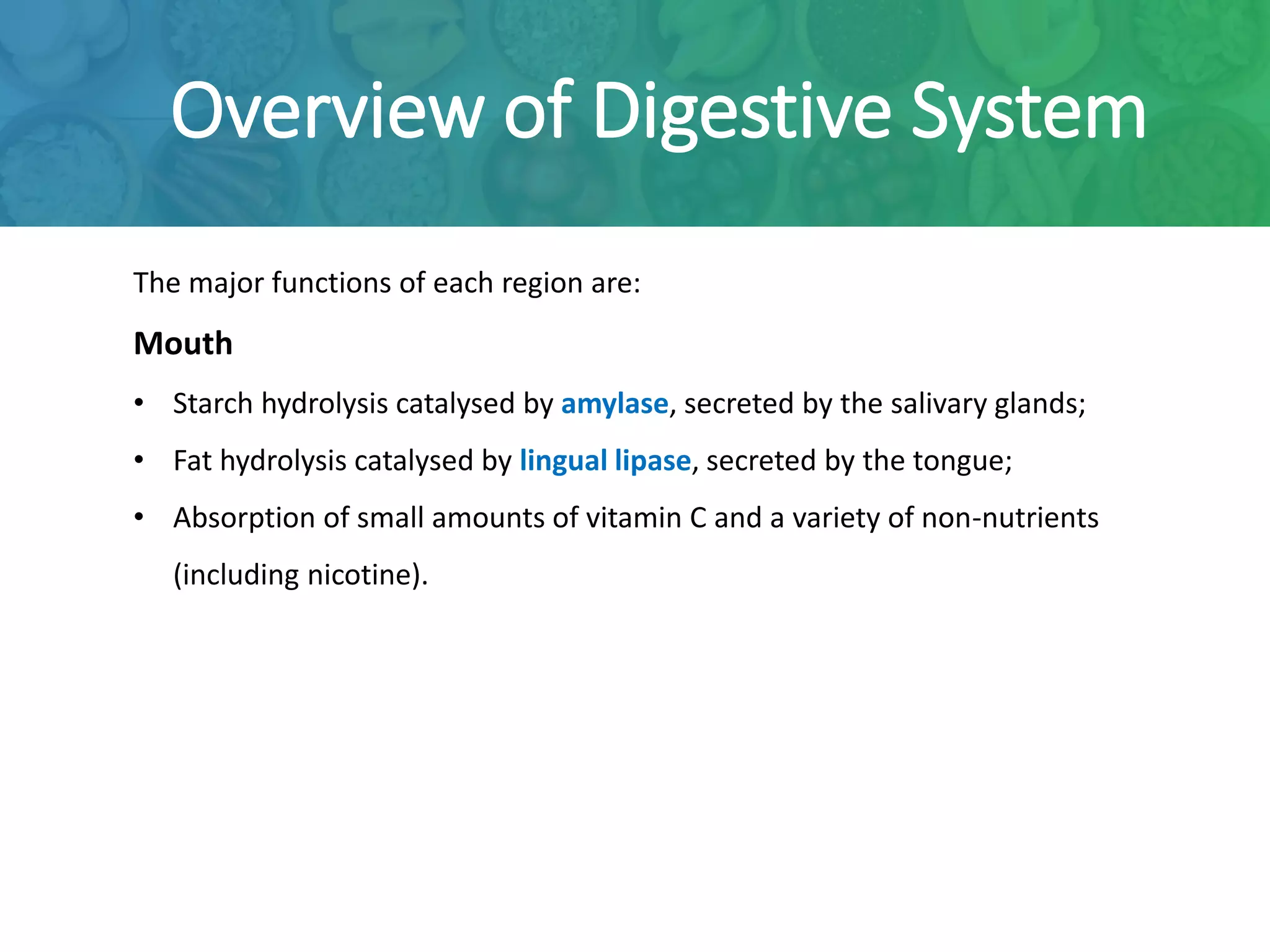 Digestion, absorption and transport of food | PDF