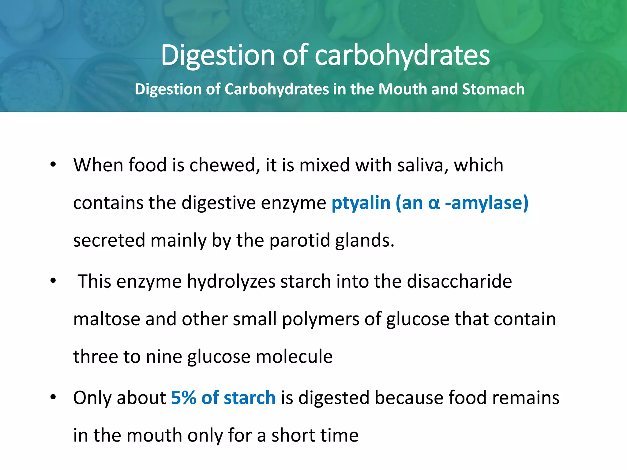 Digestion, absorption and transport of food | PDF