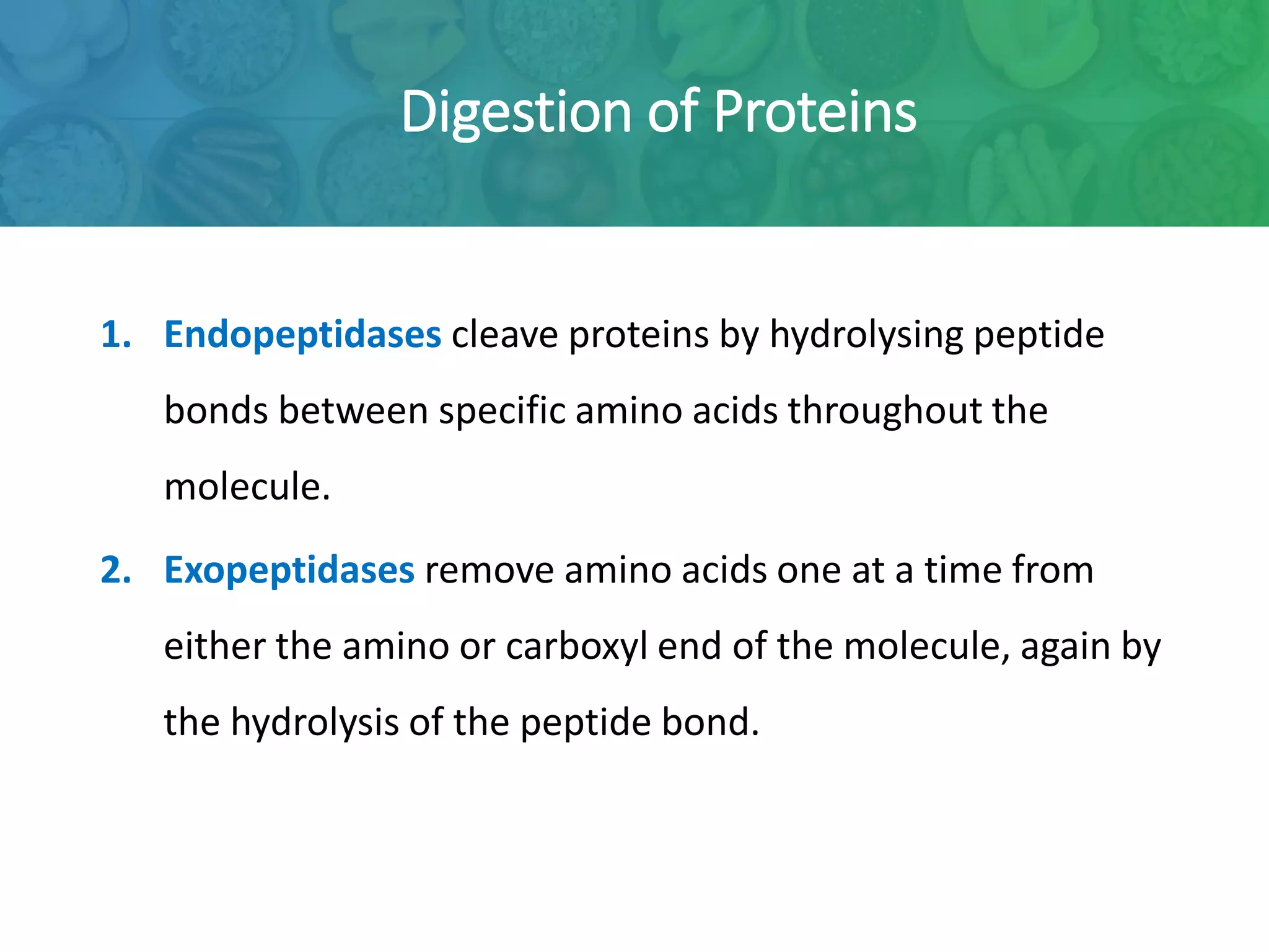 Digestion, absorption and transport of food | PDF