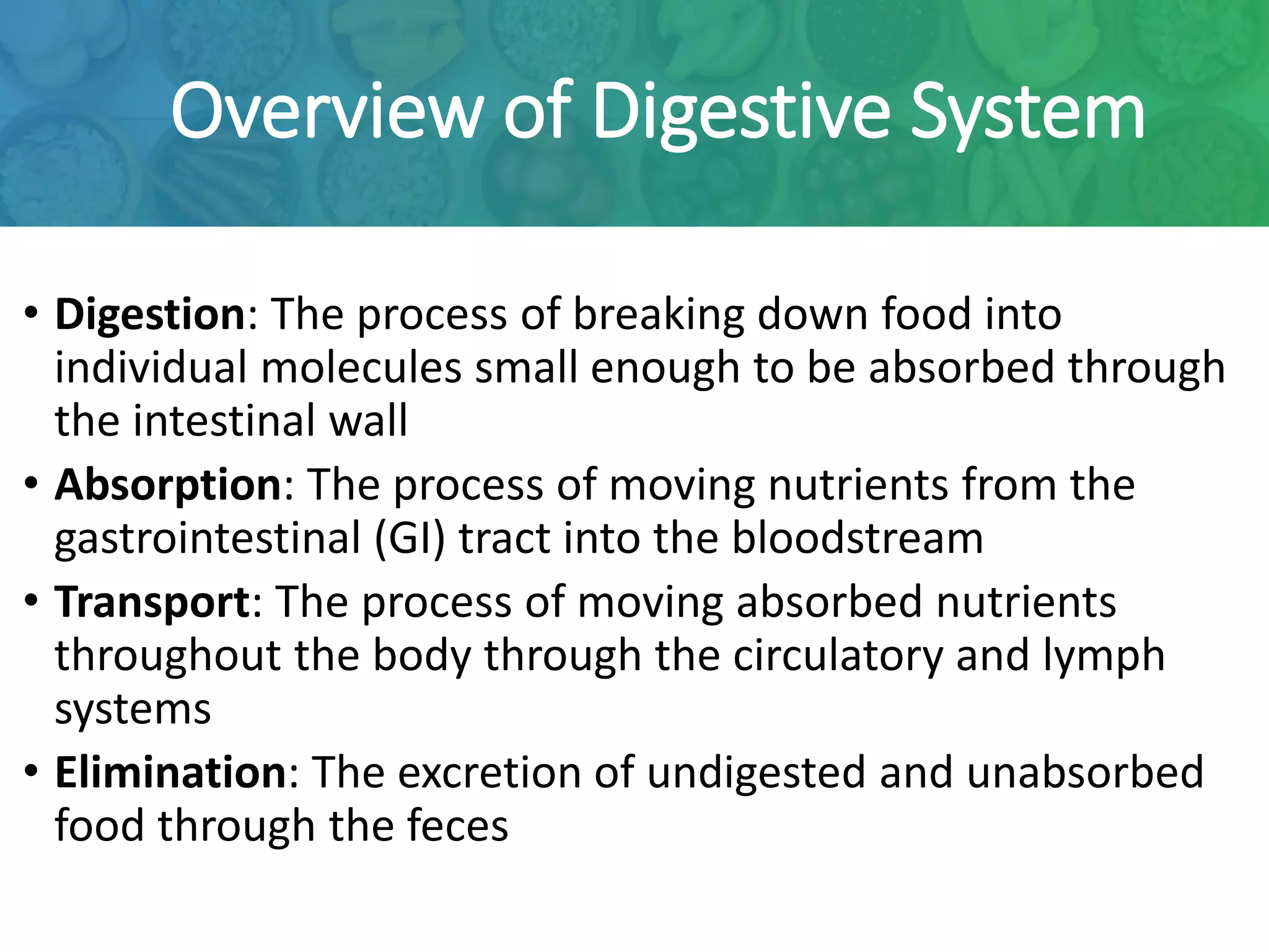 Digestion, absorption and transport of food | PDF