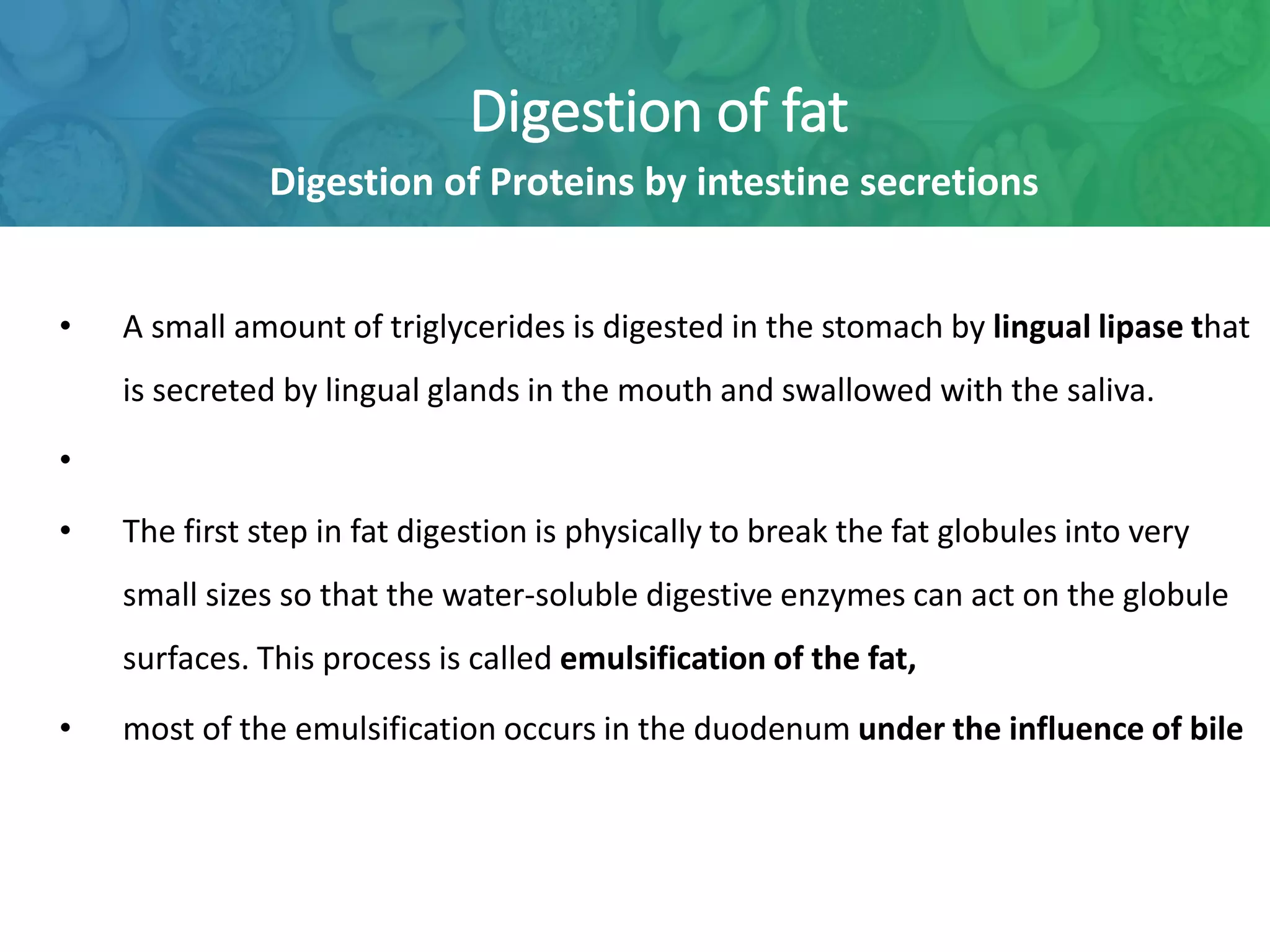 Digestion, absorption and transport of food | PDF