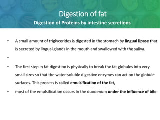 Digestion, absorption and transport of food | PDF