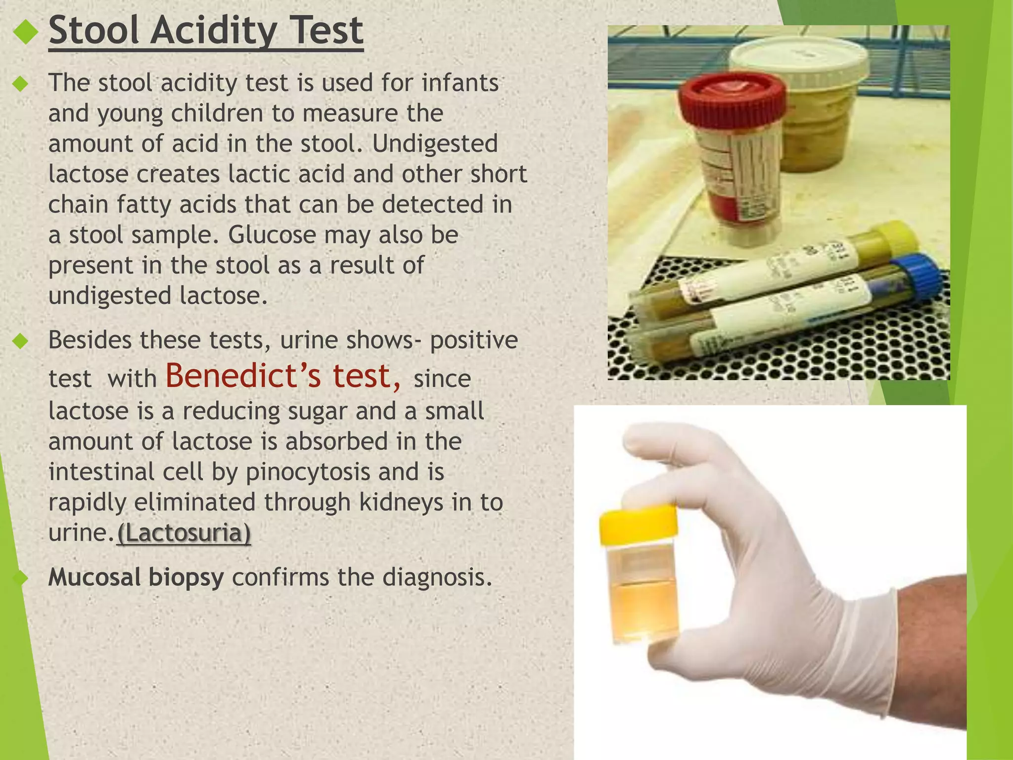 Digestion & absorption of carbohydrate | PPTX