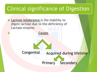 Digestion & absorption of carbohydrate | PPTX | Endocrine and Metabolic ...