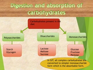 Digestion & absorption of carbohydrate | PPTX