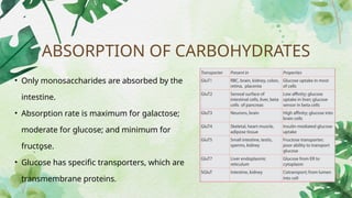 Digestion & Absorption of carbohydrates.pptx.pptx