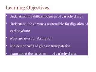 Digestion& Absorption of Carbohydrate.pptx