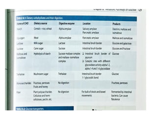 Digestion& Absorption of Carbohydrate.pptx