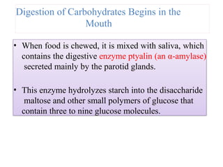 Digestion& Absorption of Carbohydrate.pptx