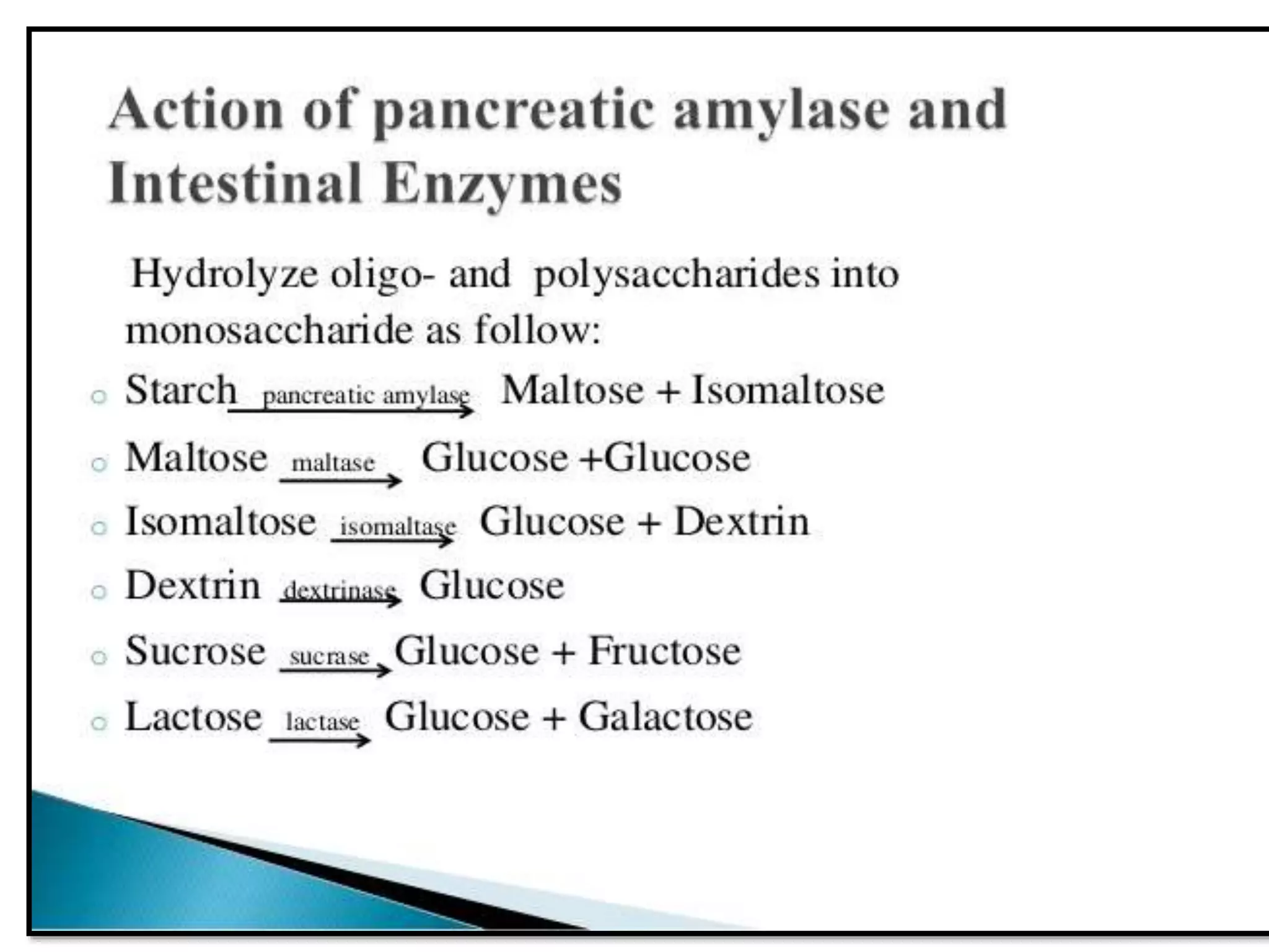 Digestion & absorption of CHO | PPTX
