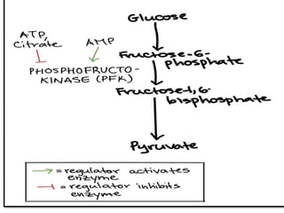 Digestion & absorption of CHO | PPTX