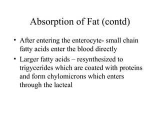 Digestion & Absorption of CHO,Pro & Fat.ppt