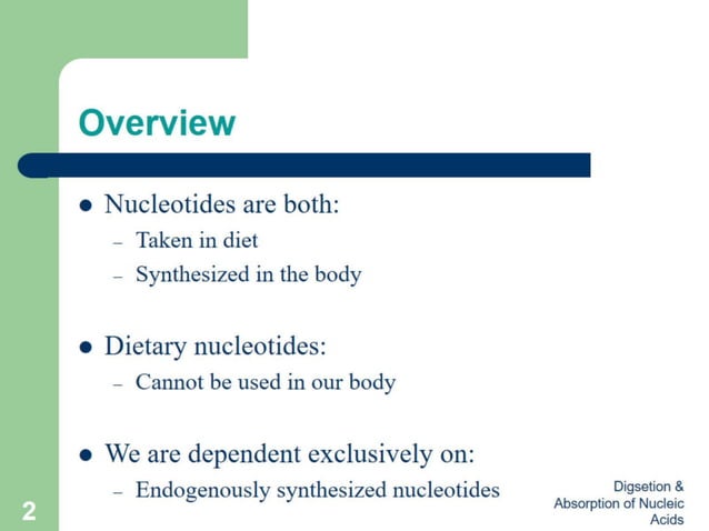 Digestion and Absorption of nucleic acids (Biochemistry)