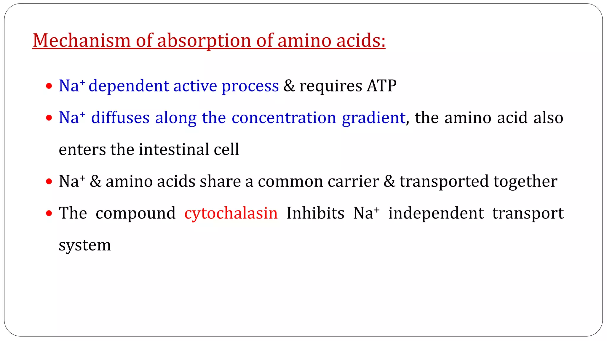 Digestion & absorption of proteins | PPTX