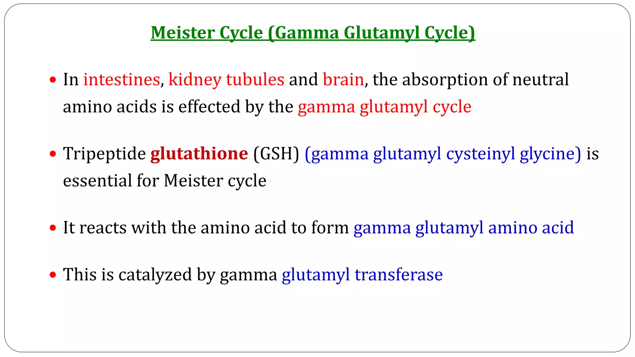 Digestion & absorption of proteins | PPTX