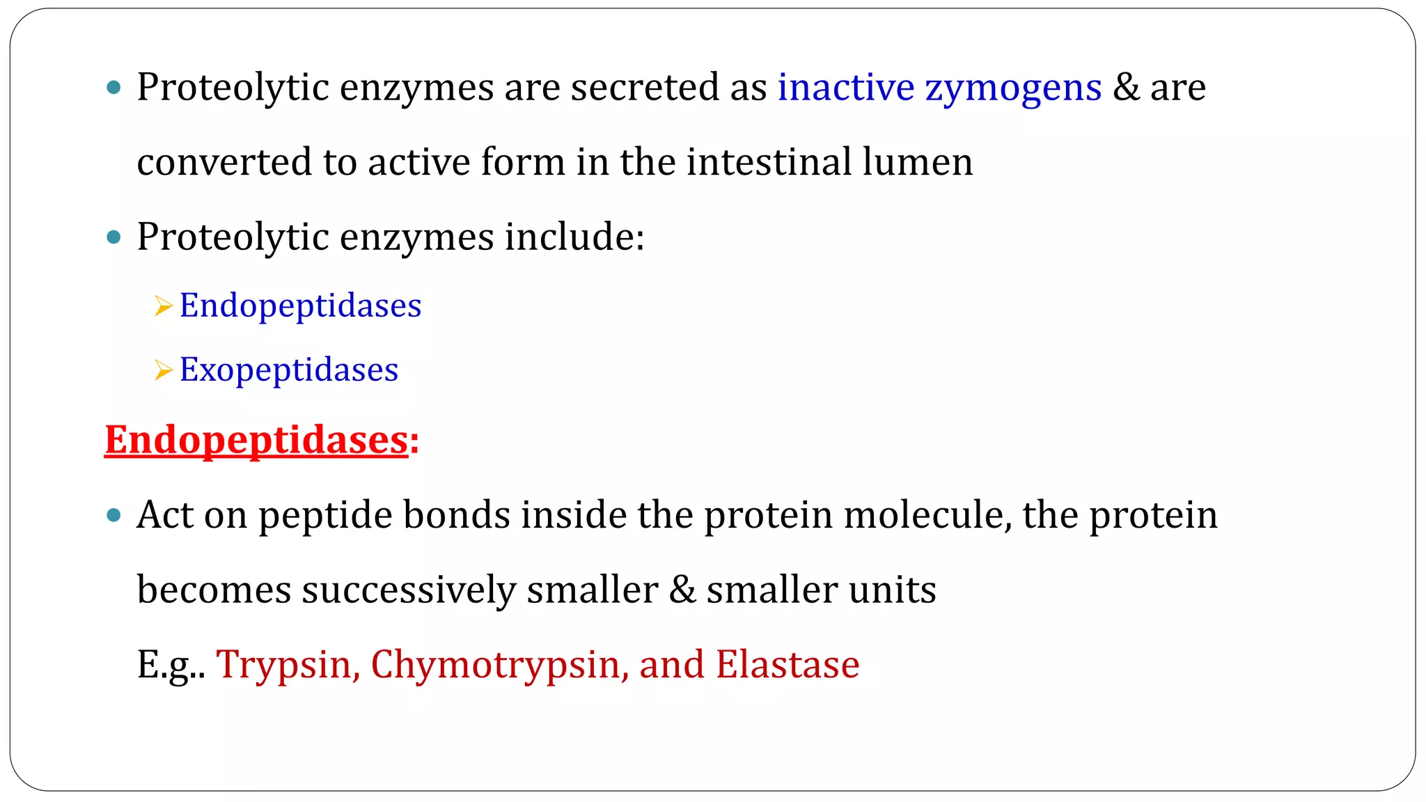 Digestion & absorption of proteins | PPTX