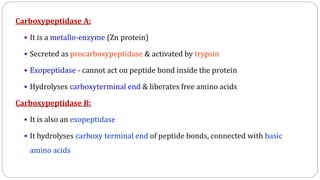 Digestion & absorption of proteins | PPTX