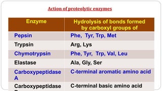 Digestion & absorption of proteins | PPTX