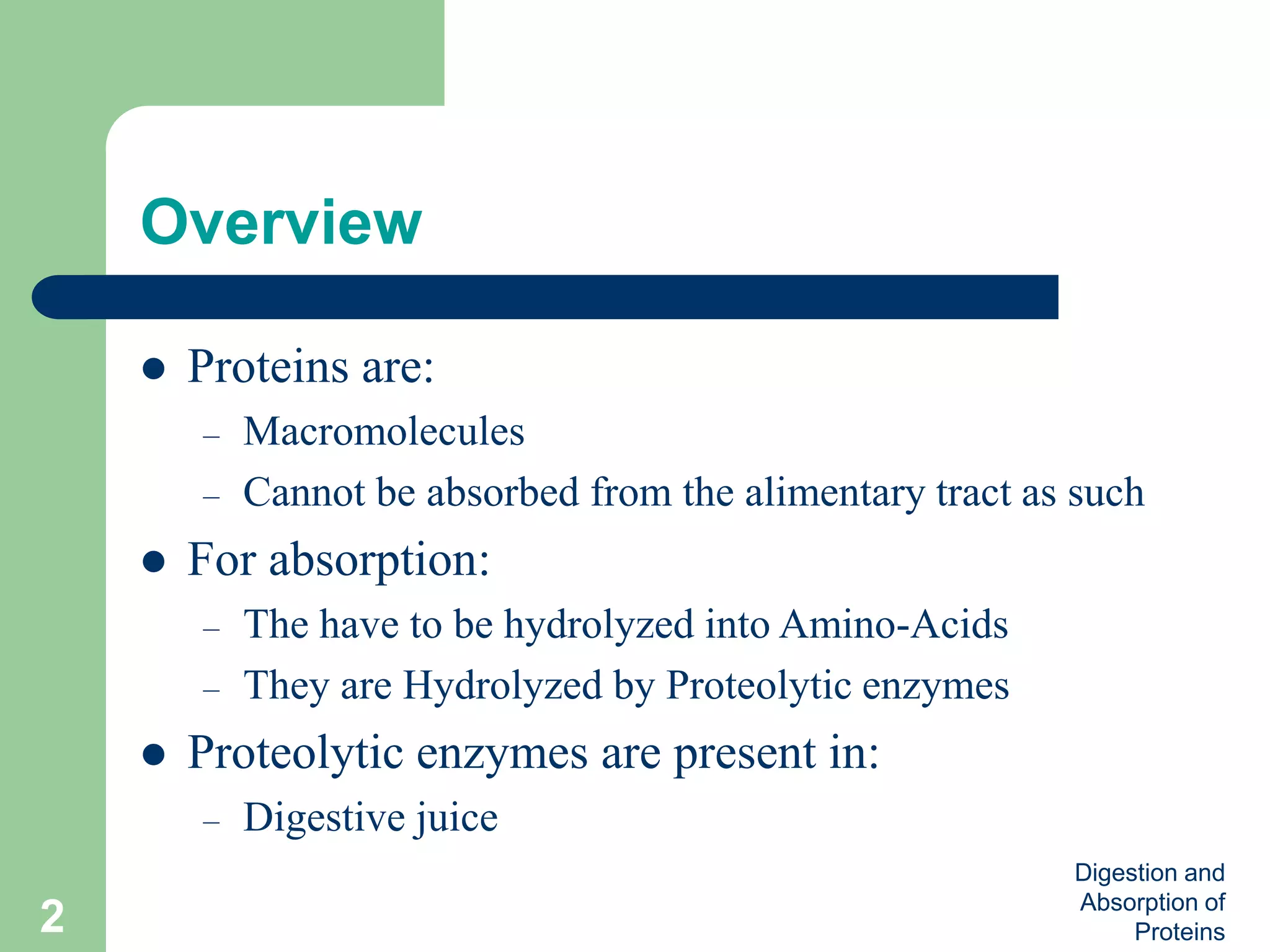 Digestion and absorption of proteins (Biochemistry) | PDF