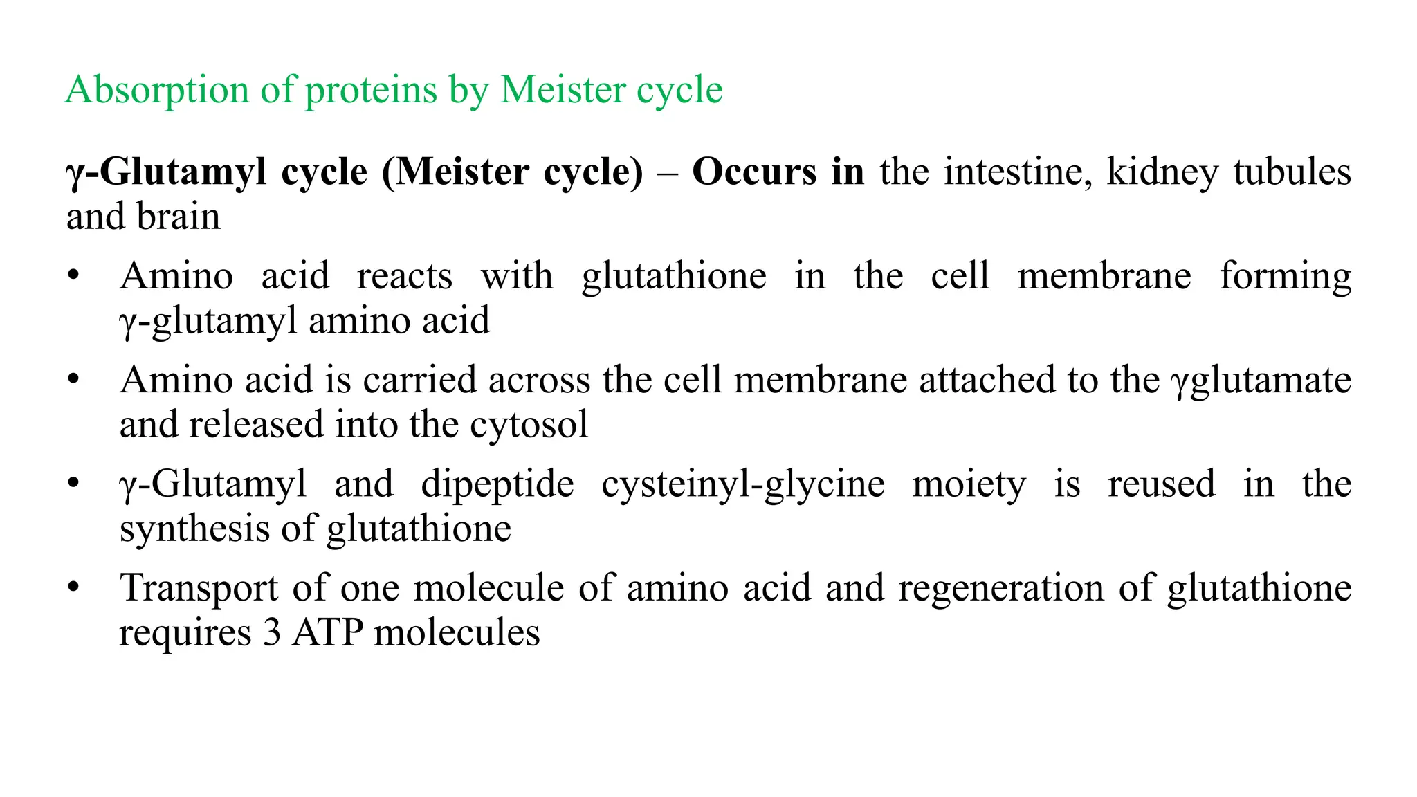 Digestion absorption of proteins, Protein digestion abnormalities ...