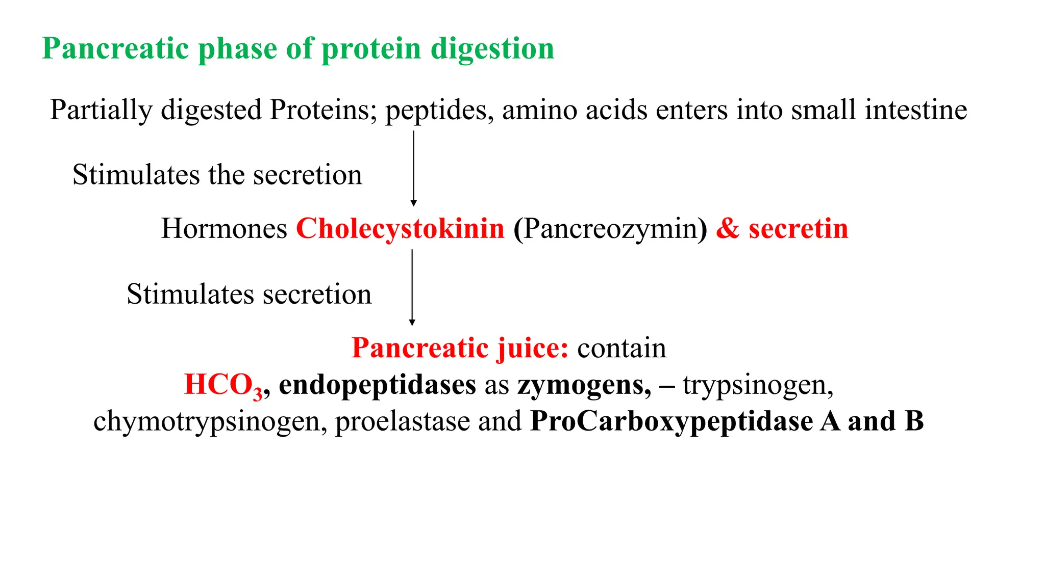 Digestion absorption of proteins, Protein digestion abnormalities ...