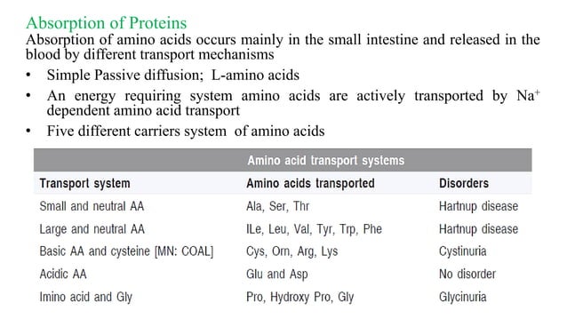 Digestion absorption of proteins, Protein digestion abnormalities ...