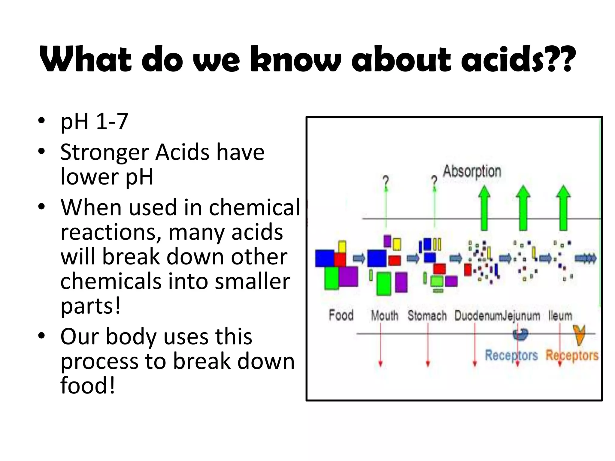 Digestion acids | PPT