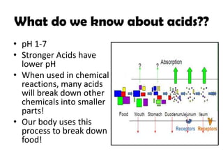 Digestion acids | PPTX