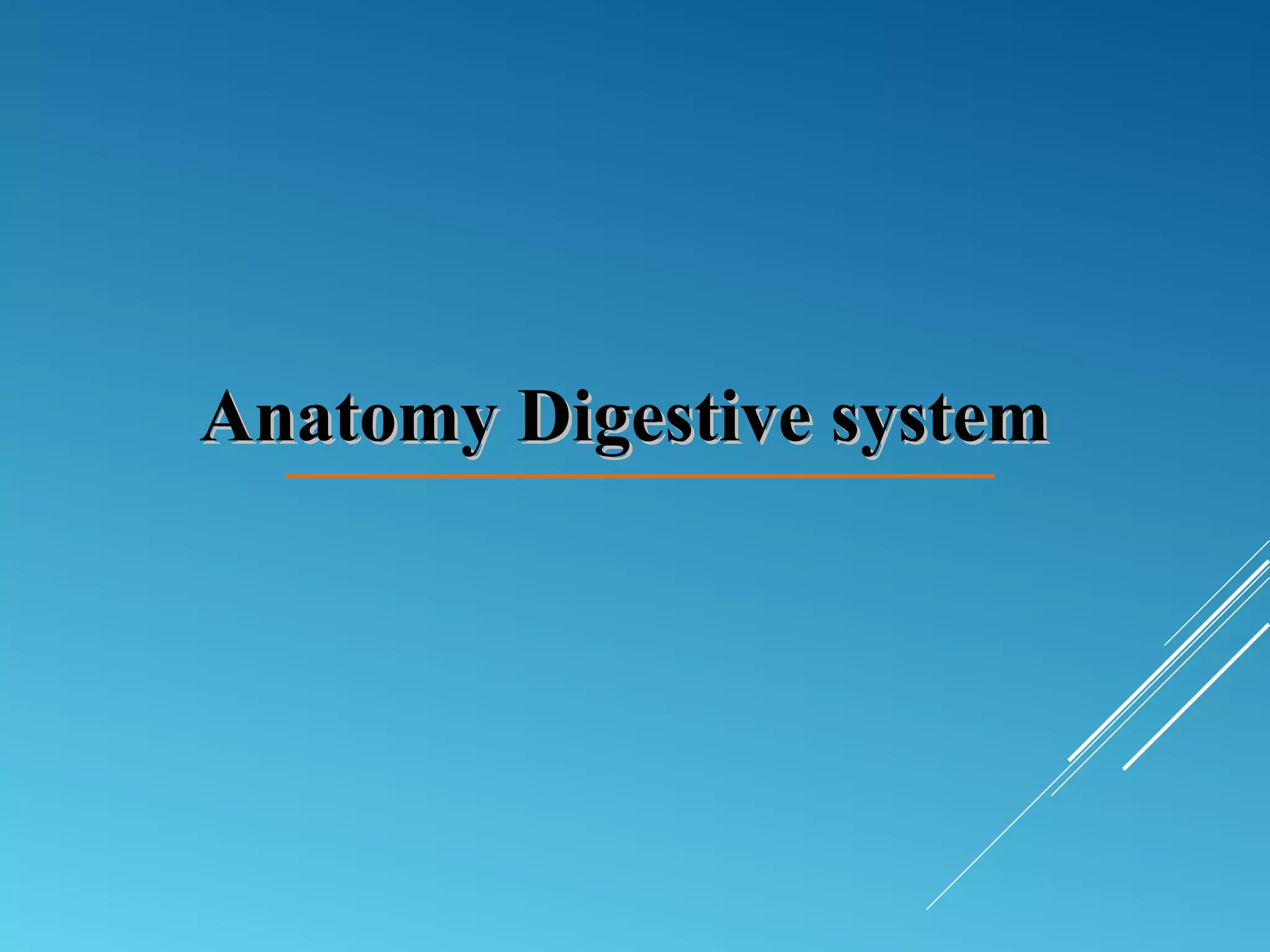 Digestion anatomy | PPT