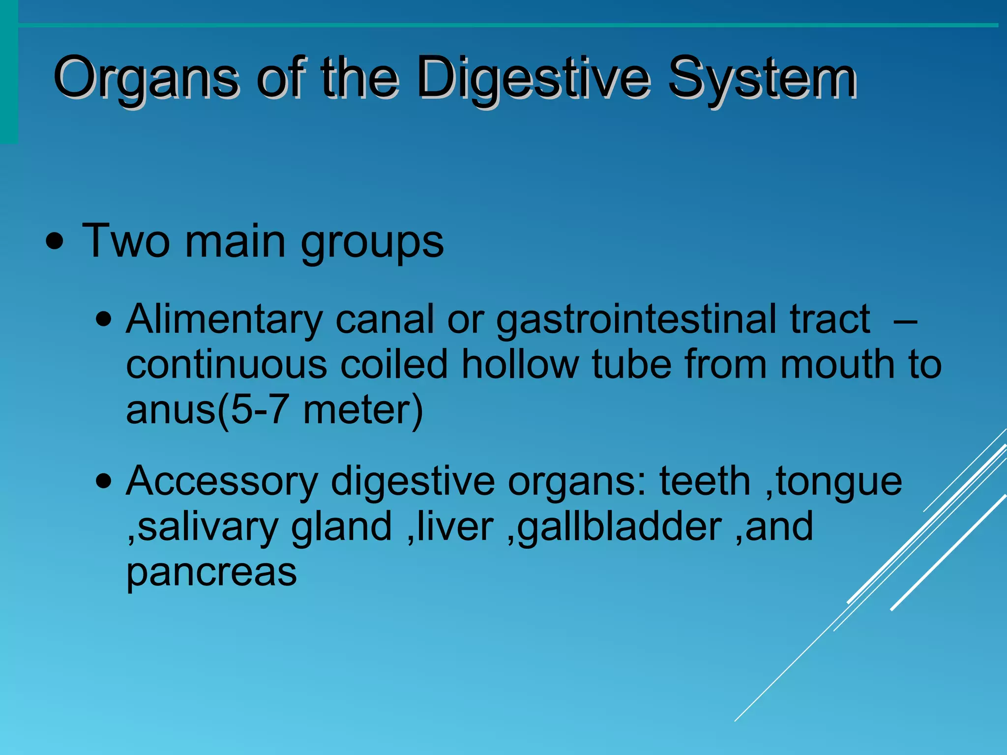 Digestion anatomy | PPT