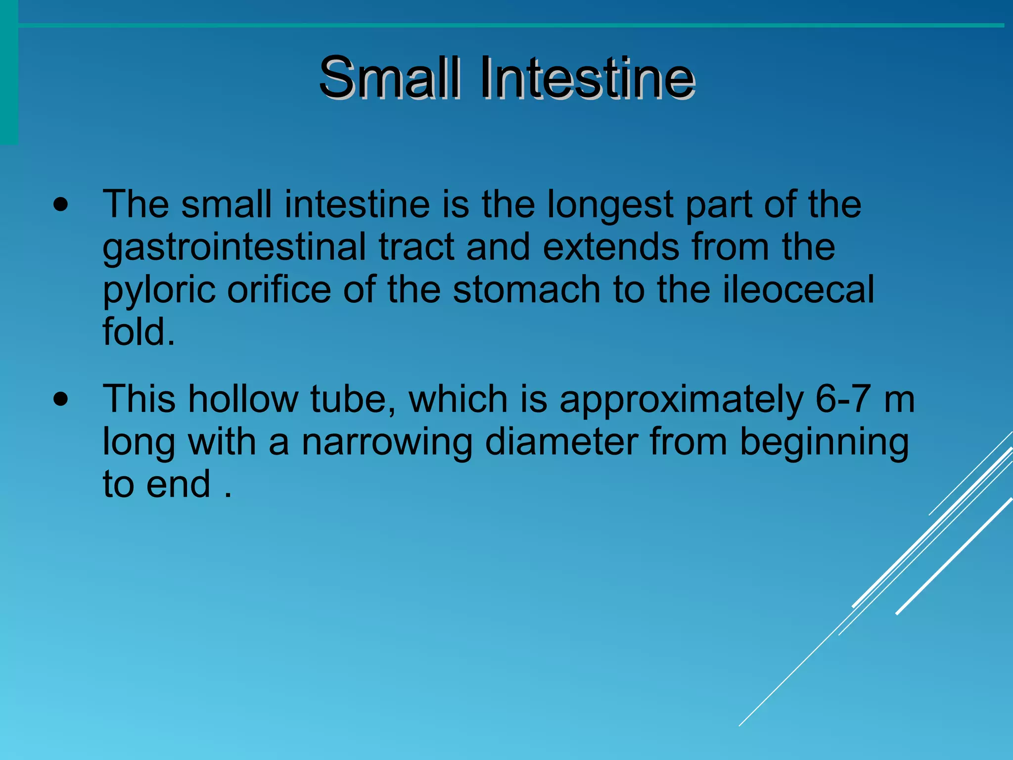 Digestion anatomy | PPT