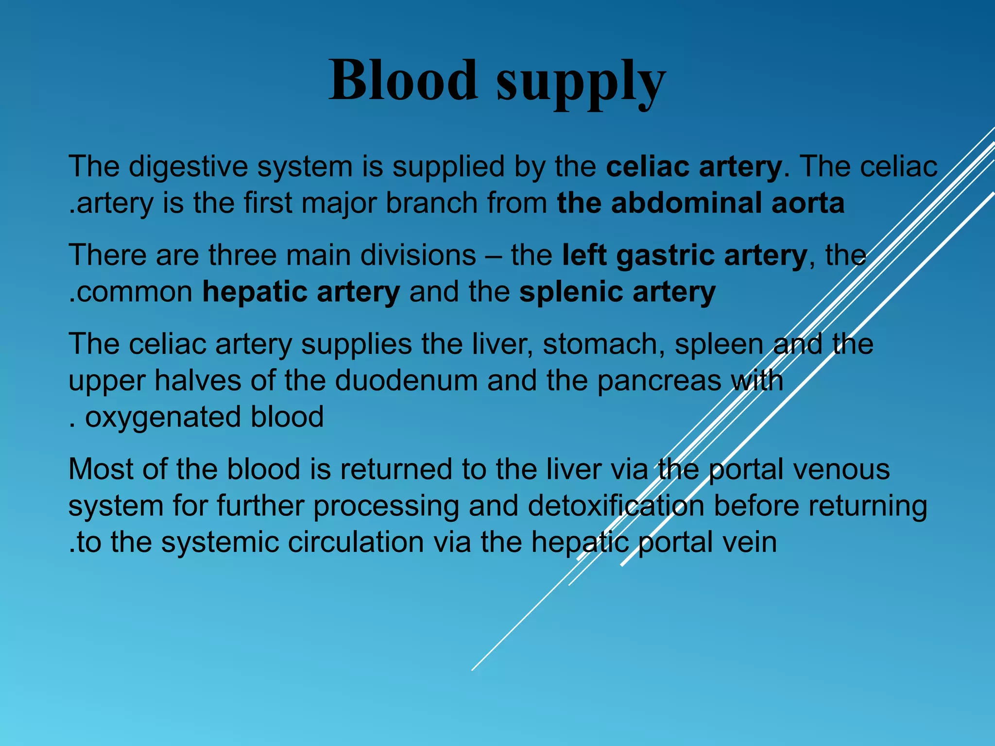 Digestion anatomy | PPT