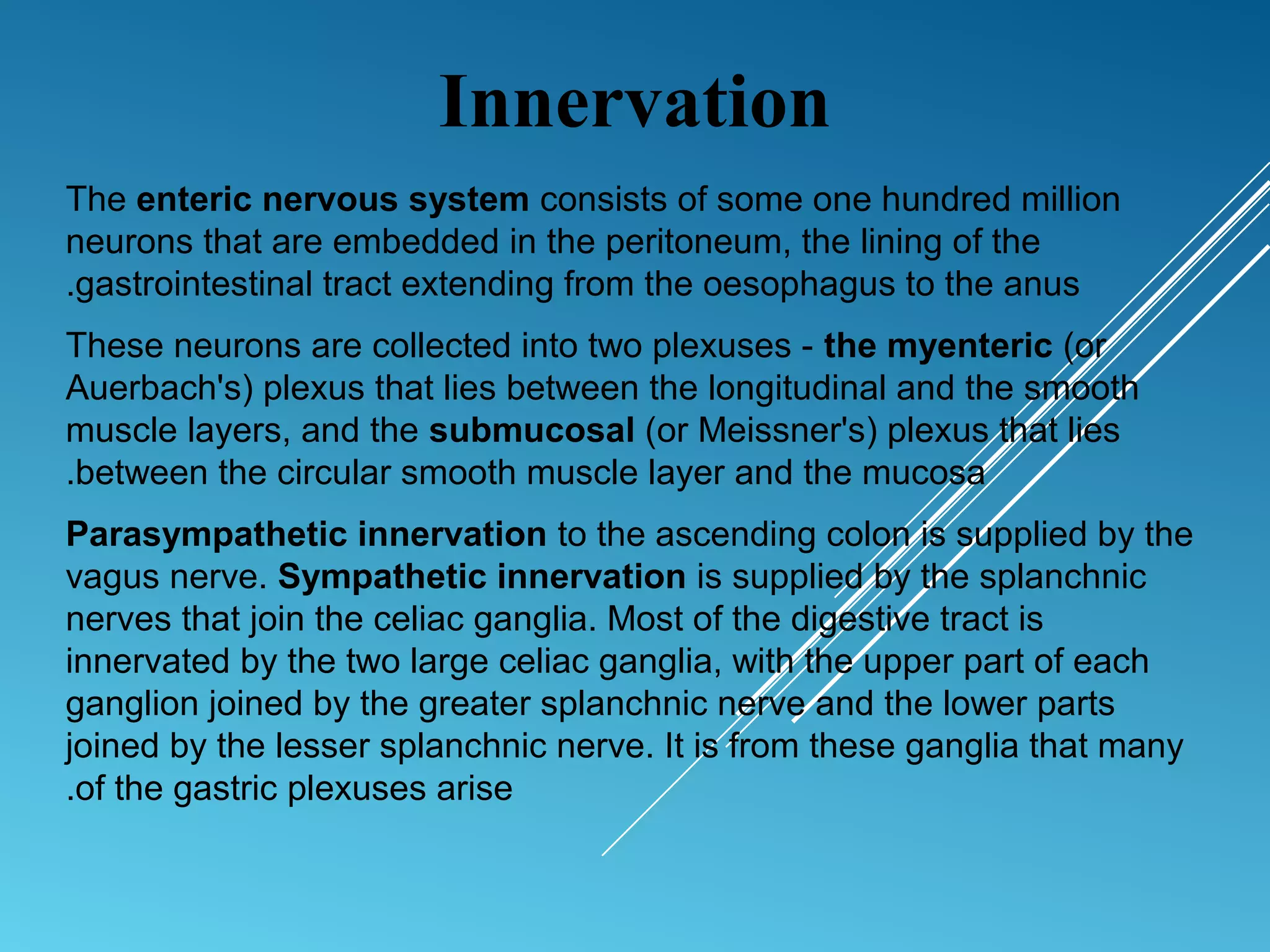 Digestion anatomy | PPT