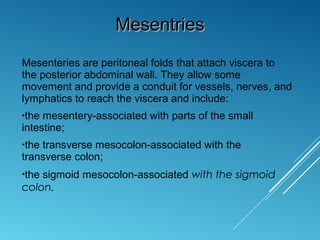 Digestion anatomy | PPT